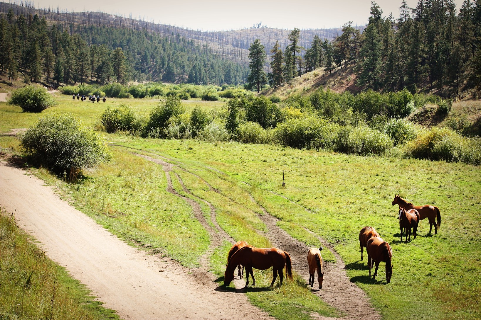 Privacy Policy | Lost Valley Ranch
