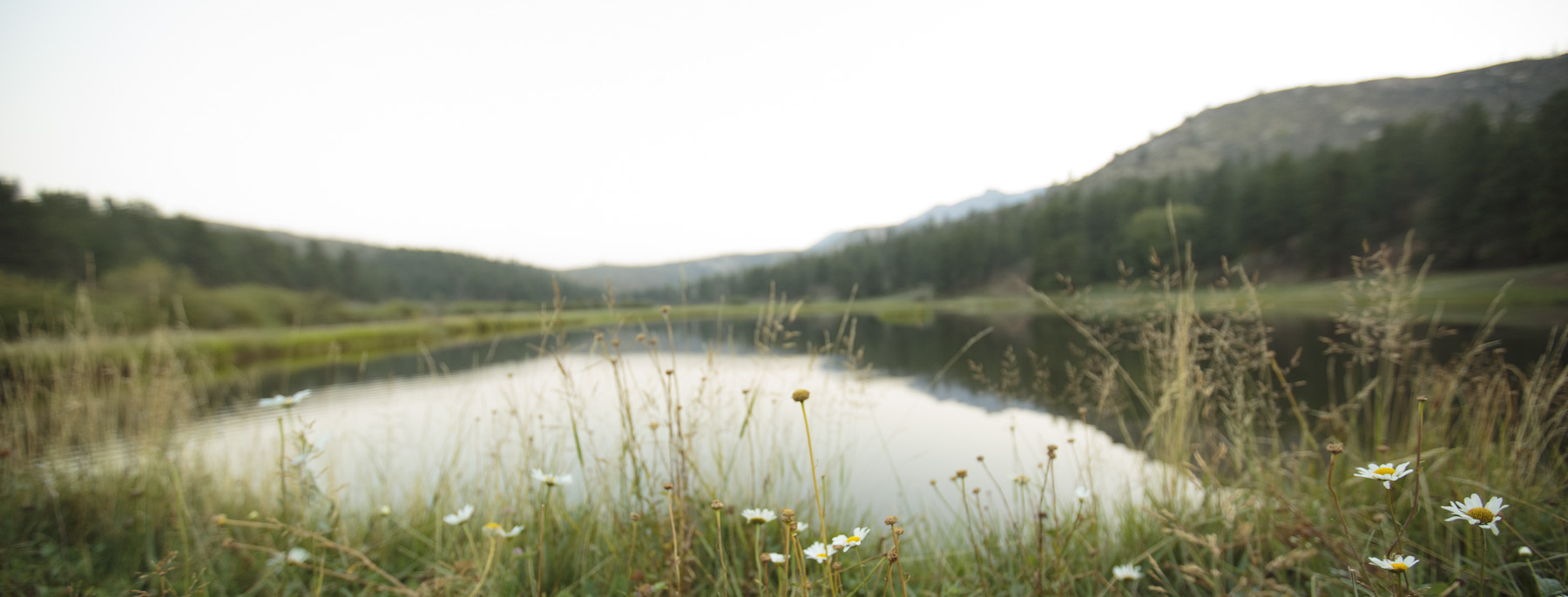 The History of Lost Valley Ranch | A Colorado Tradition Since 1961