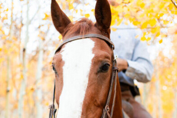 Fall Colorado Ranch Vacations | Lost Valley Ranch