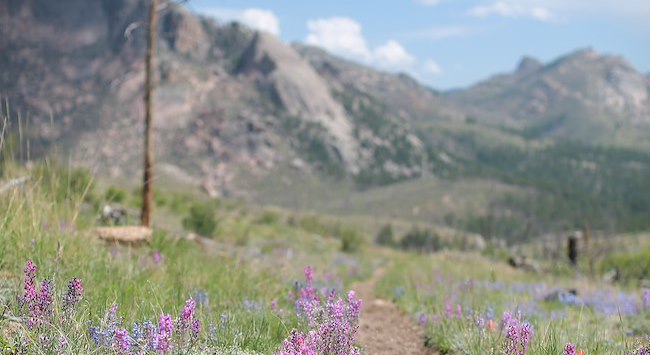 Summertime at a Colorado Ranch | Lost Valley Ranch